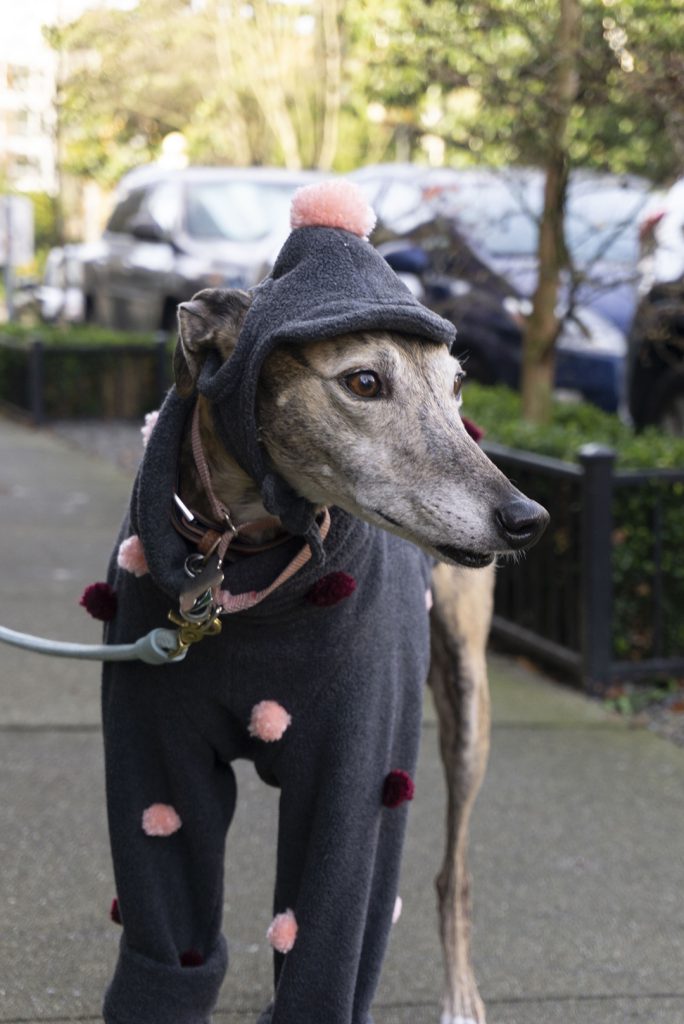 Losing Greer – Kaila Elders