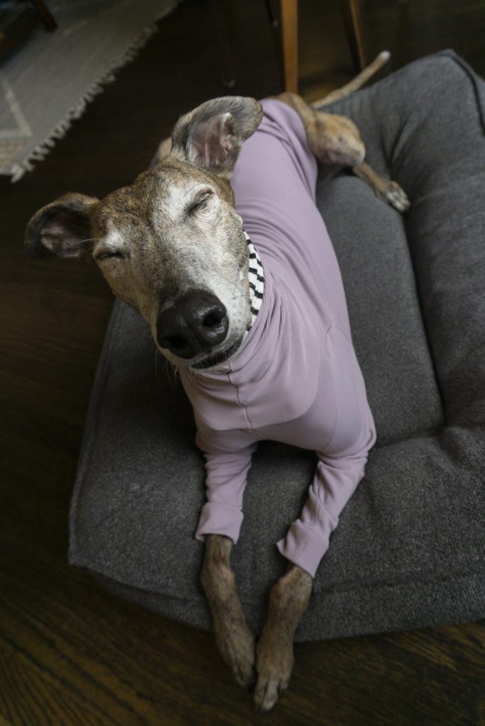 Losing Greer – Kaila Elders